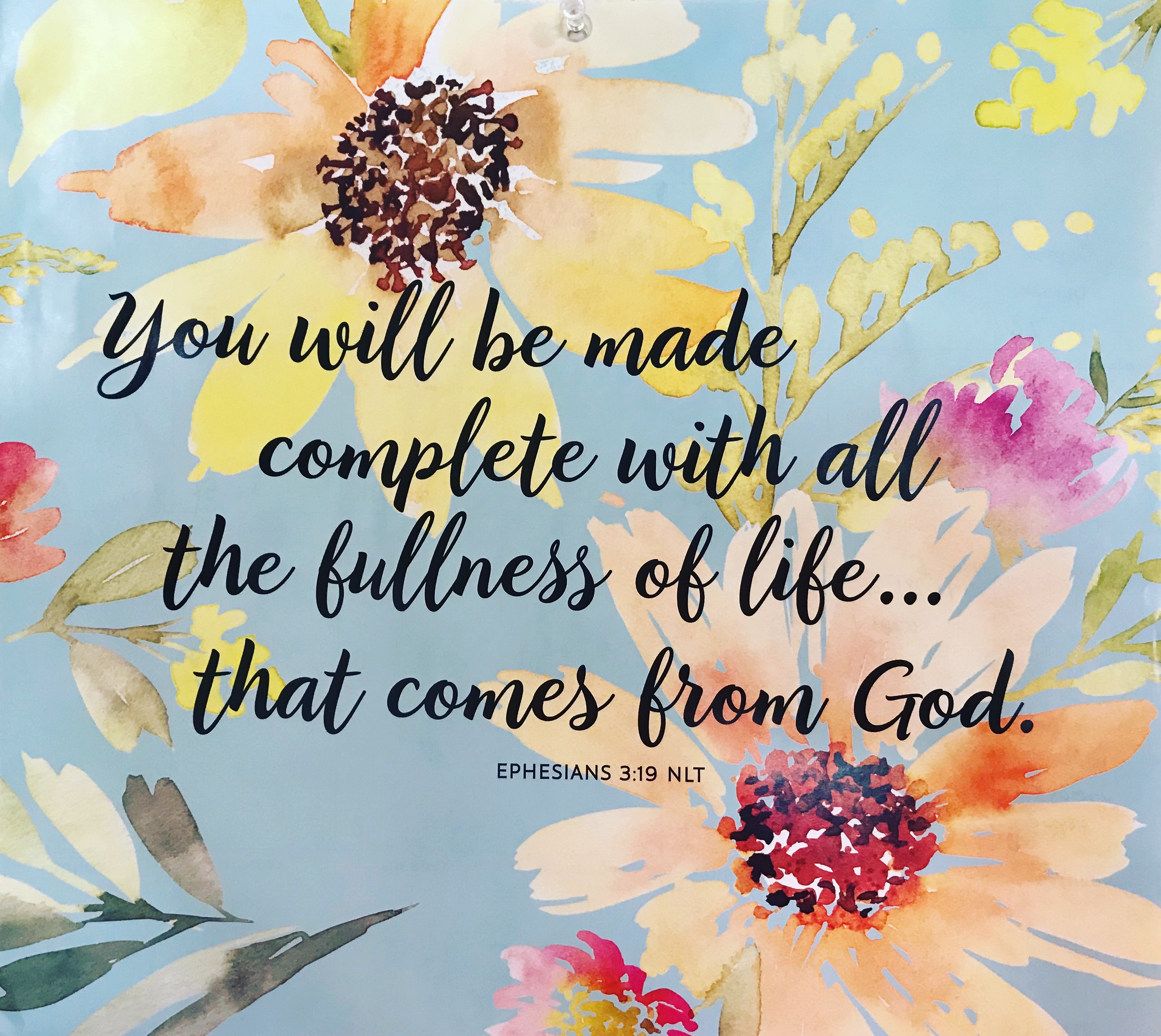 Complete – Apostolic Momma
